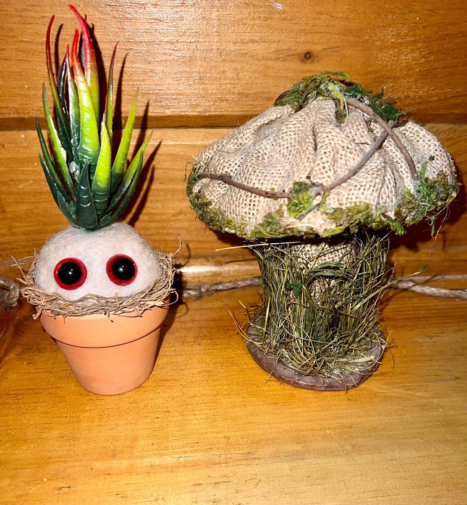Handmade Needle Felted Potted Baby Mandrake Sprout - Etsy