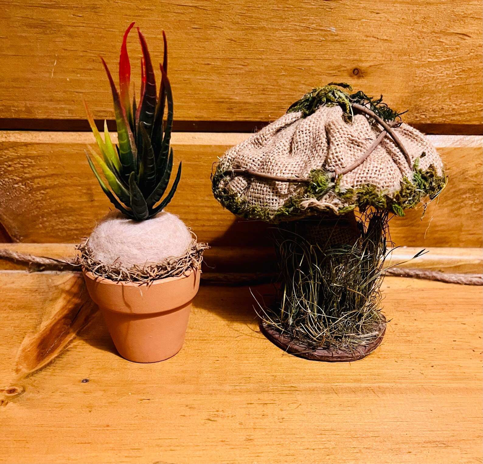 Handmade Needle Felted Potted Baby Mandrake Sprout - Etsy