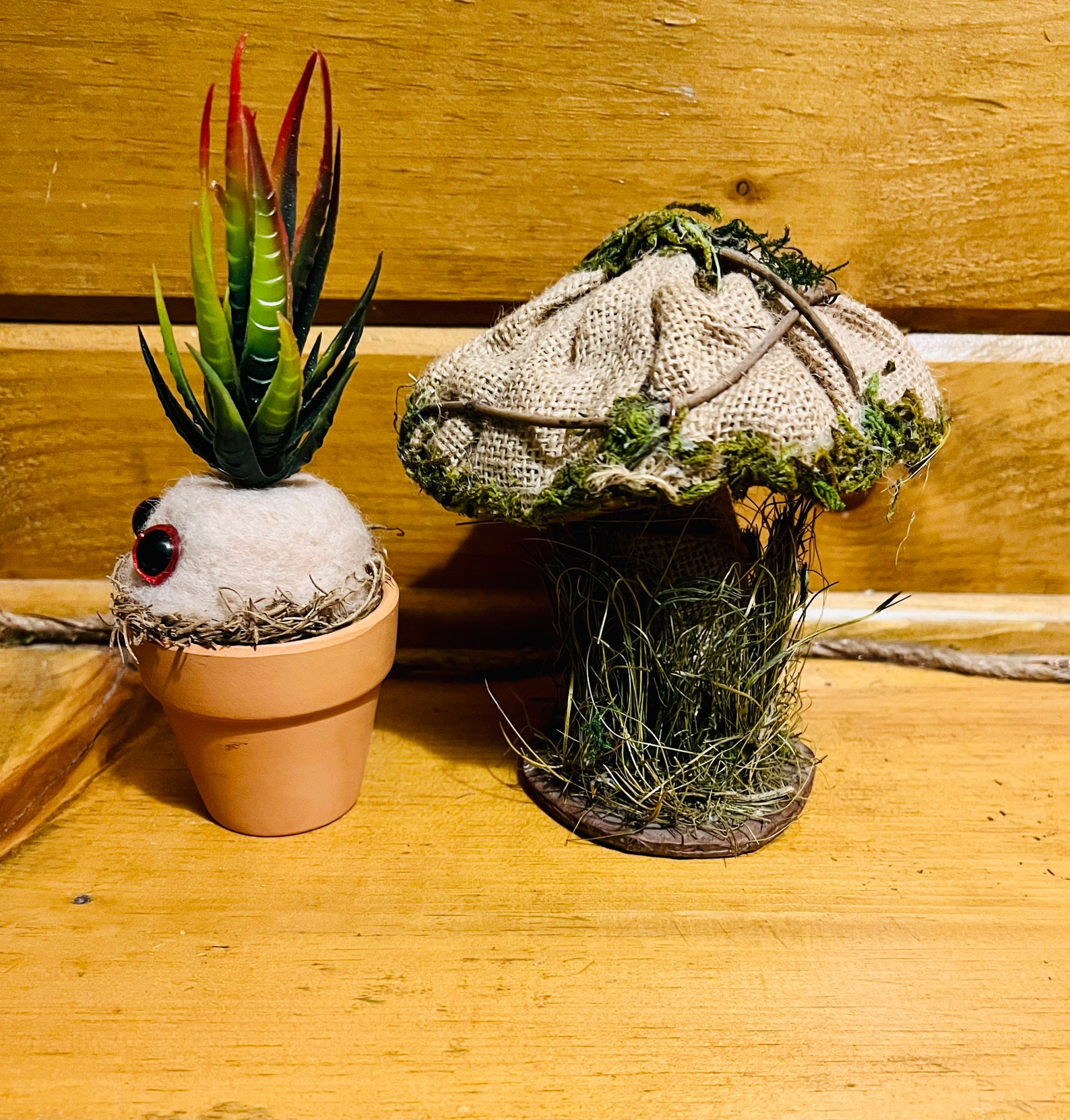 Handmade Needle Felted Potted Baby Mandrake Sprout - Etsy