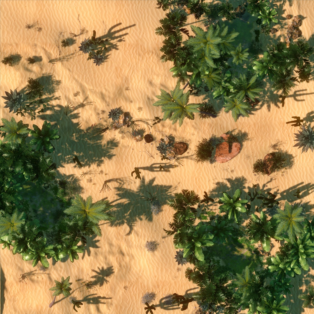 RPG Desert Oasis Battle Map - Etsy