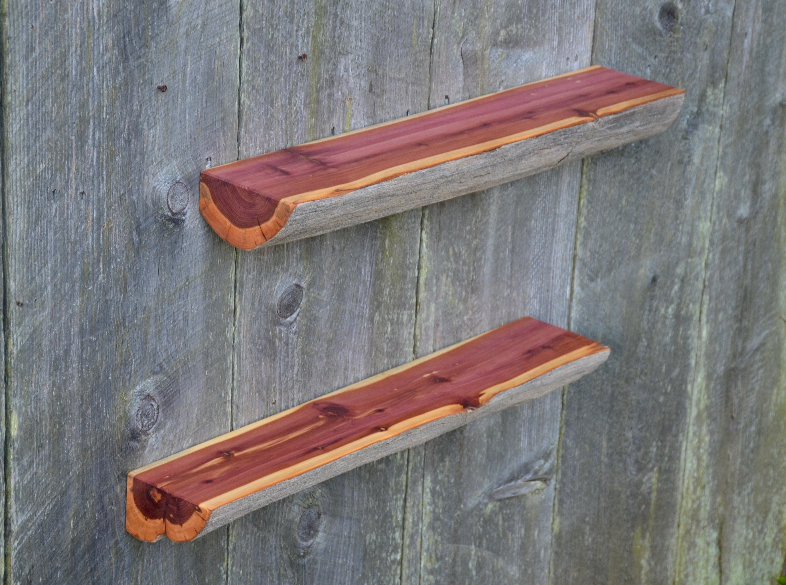 Two Reclaimed Cedar Log Floating Shelves, Free Shipping! - Etsy