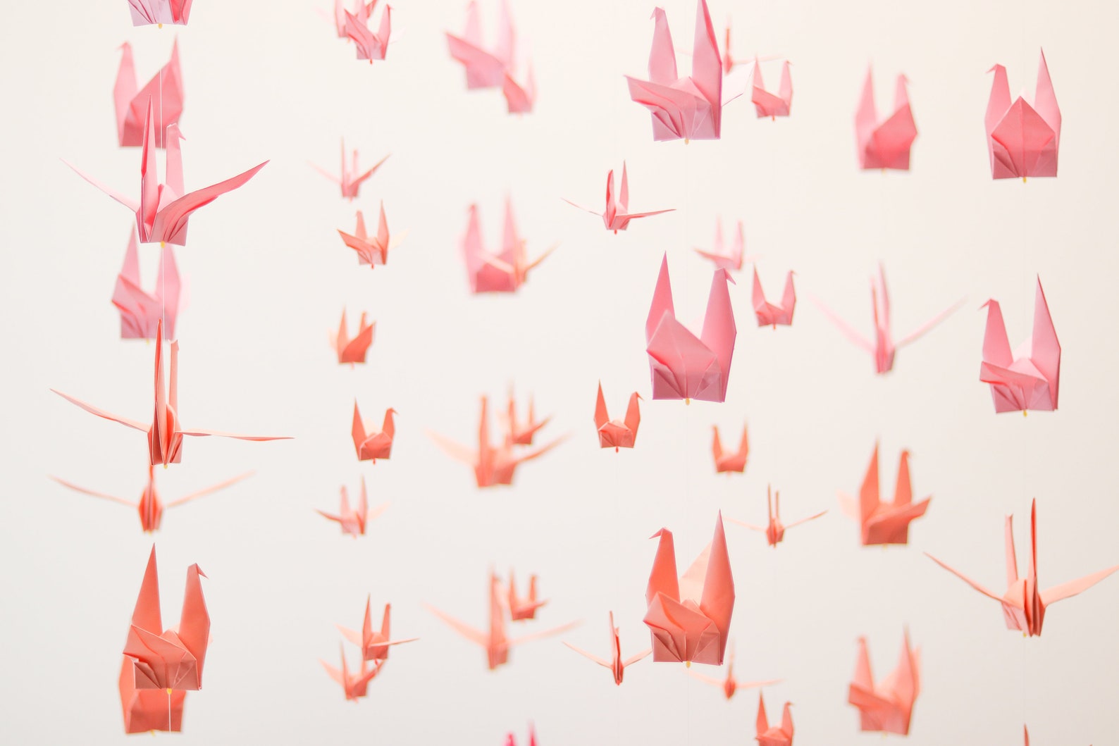200 Cranes-20 Strings/10 Cranes Each - Origami Paper Crane Pink-rose ...