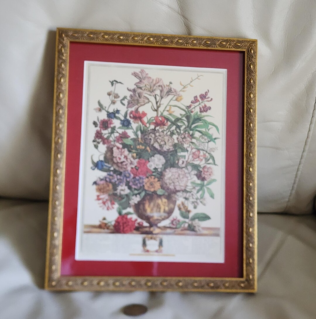 Robert Furber 12 Months of Flowers Series July Framed Print Wall Home ...