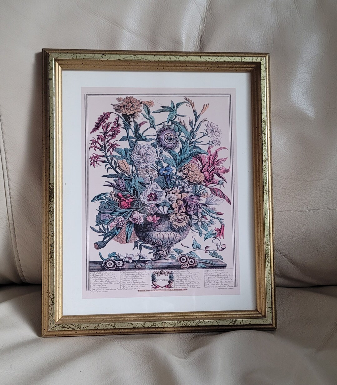 Robert Furber Vintage Botanical Framed Print, 12 Months of Flowers ...