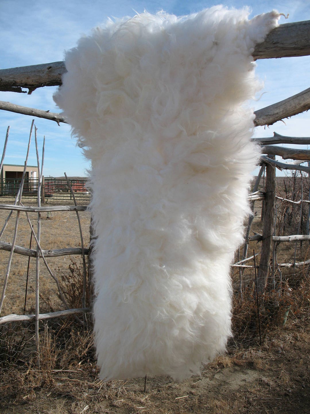 Sheep Wool Pelt, Motorcycle Seat Cover , Baby Snuggle Rug, Bedside Rug ...