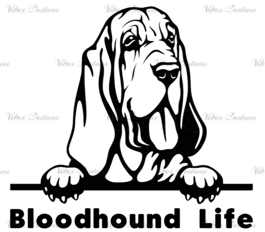 Bloodhound life dog pet car decal window bumper sticker no | Etsy