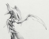 Kabutops 8 X 10 Print pokemon Drawing Art Artwork - Etsy