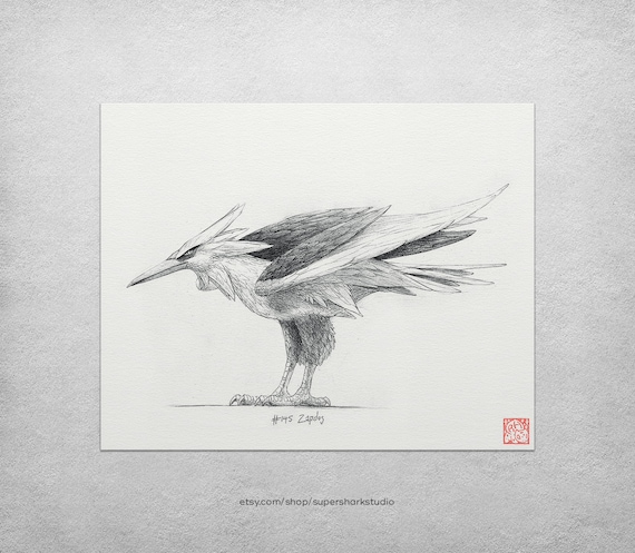 Legendary Bird Pokemon Drawings