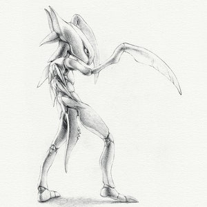 Kabutops - 8 X 10" Print (pokemon, Drawing, Art, Artwork, Gaming ...