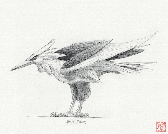 Realistic Legendary Bird Pokemon
