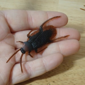 Realistic Fake Cockroaches, 3" (roach Found Object Imitation Halloween ...
