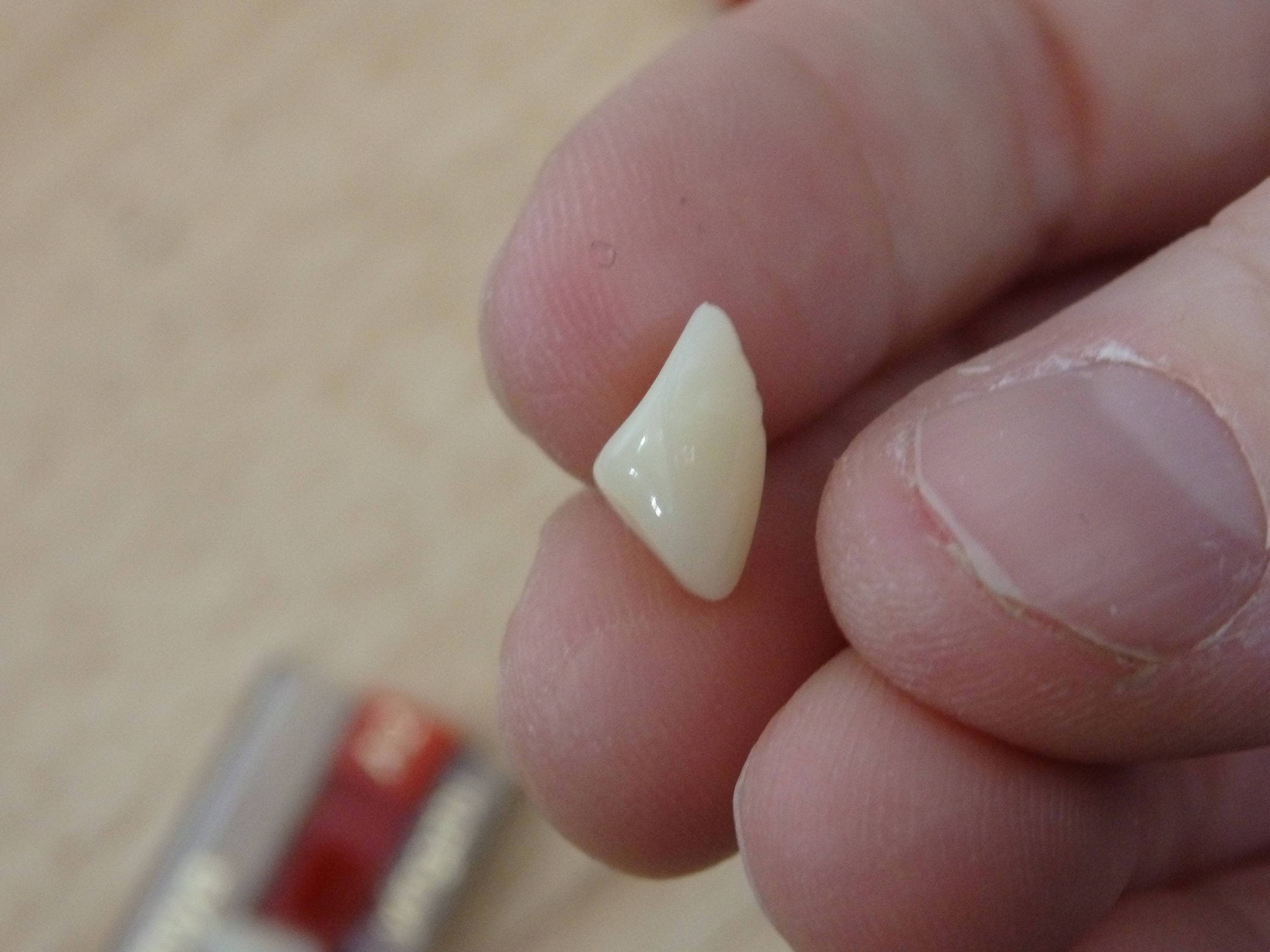 Full Set Realistic Resin Human Teeth imitation Bone Skeleton - Etsy