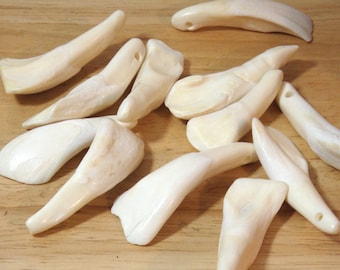 Water Buffalo Teeth | Etsy