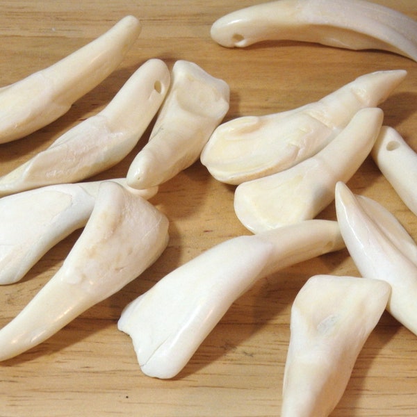 Buffalo Teeth - Etsy