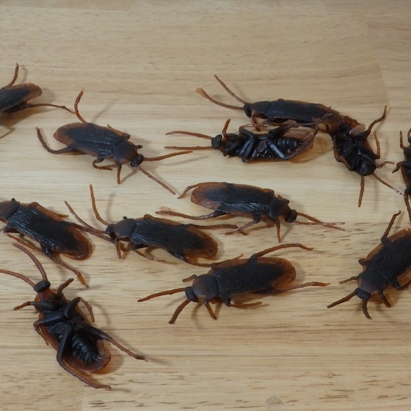 Realistic Fake Bugs - Etsy