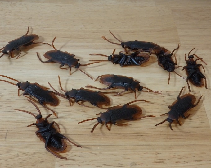 Realistic Fake Cockroaches, 3 roach Found Object Imitation Halloween ...