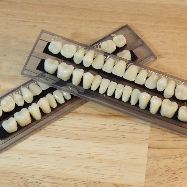 Fake Human Teeth - Etsy