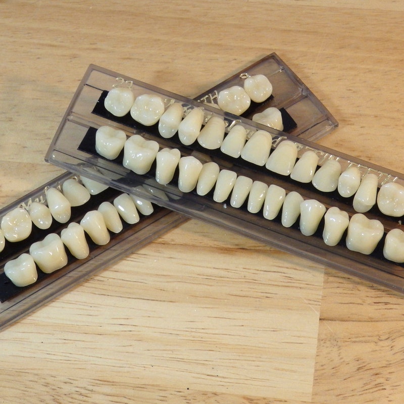 Fake Human Teeth - Etsy