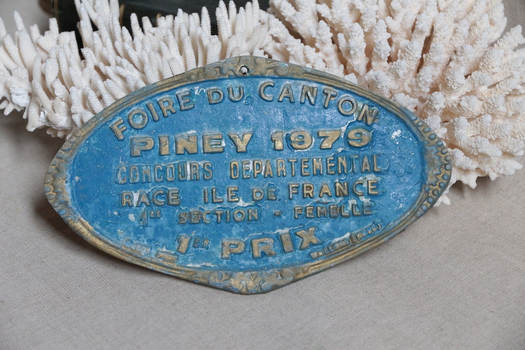 French Vintage Agricultural Prize Award Plaque for Sheep. Ewes.faded ...
