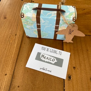 Holiday Surprise Reveal, DIY Holiday Reveal, Mini Suitcase Birthday ...