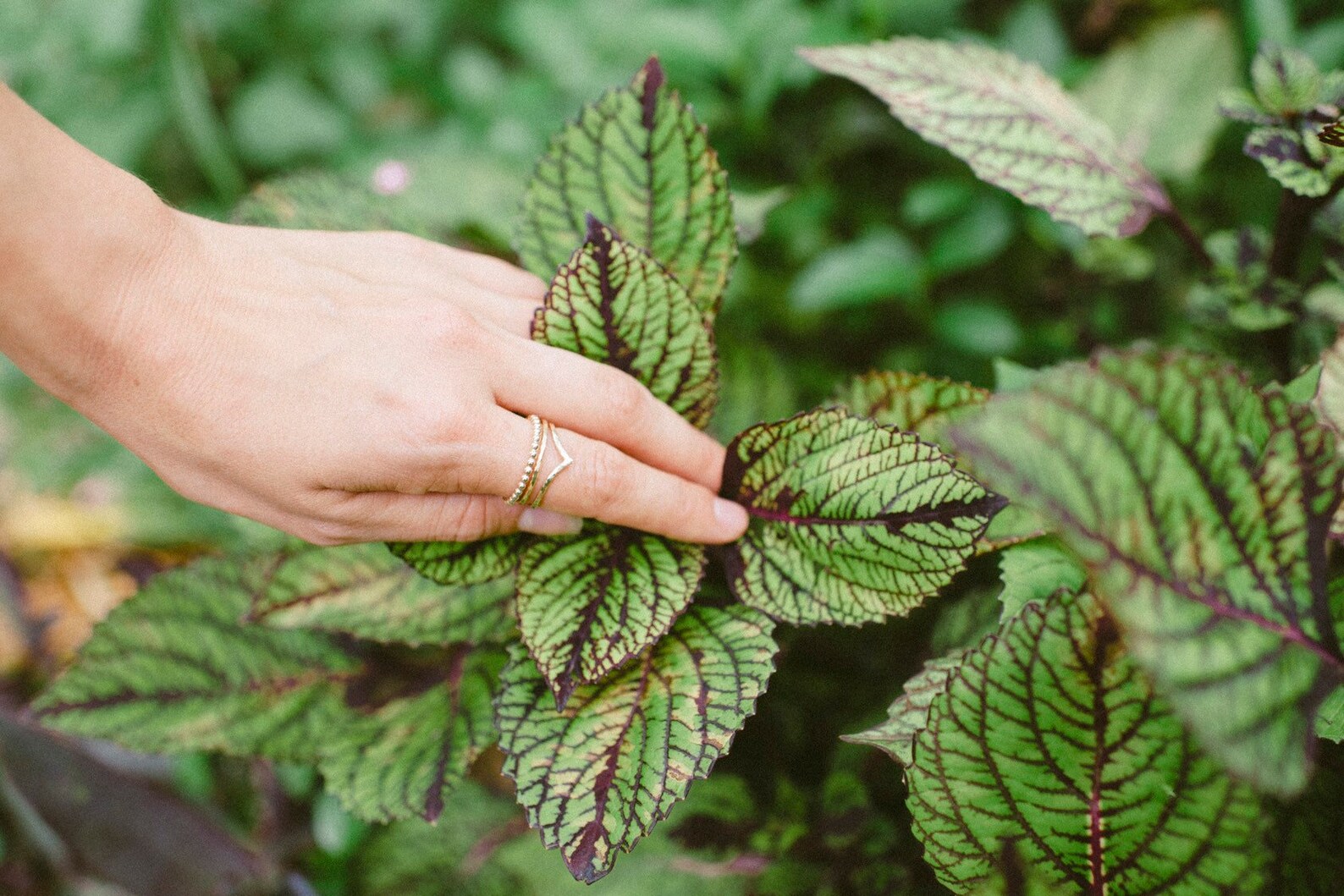 Chevron Stacking Ring W/ Hammered Texture. Delicate Stacking - Etsy