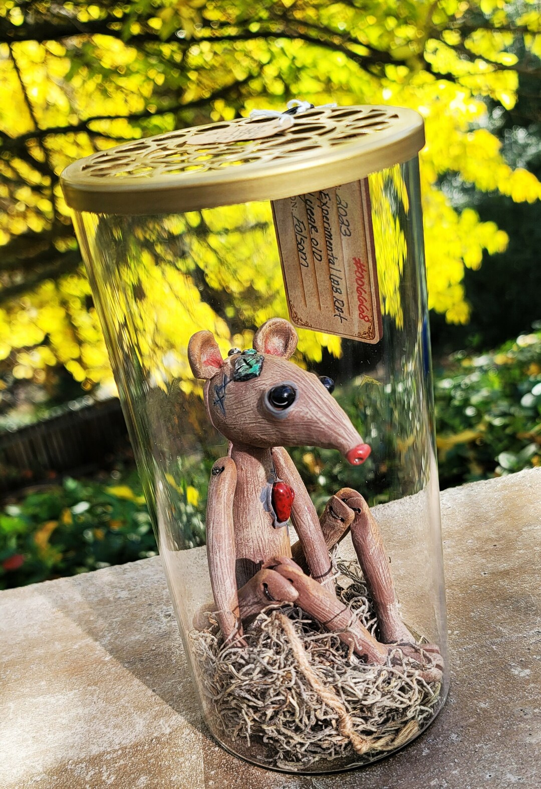 Lab Rat Specimen 9 Sculpture Doll - Etsy