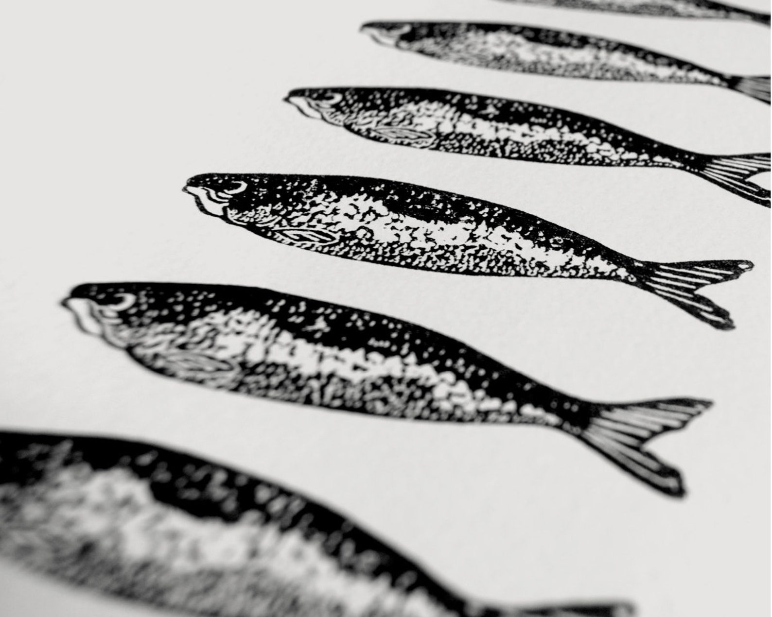 Twelve Sardines Art Print - Fish Screenprint, Gift for Cooks, Kitchen ...
