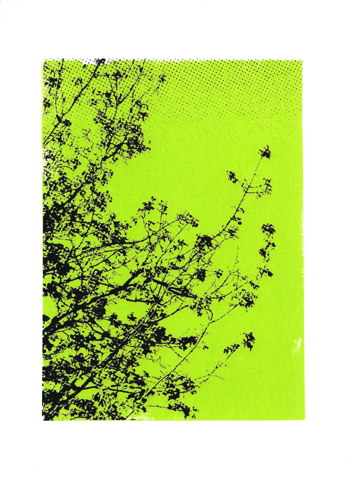 Trees Screenprint - Trees Art Print, Abstract Art Print, Tree Branches ...