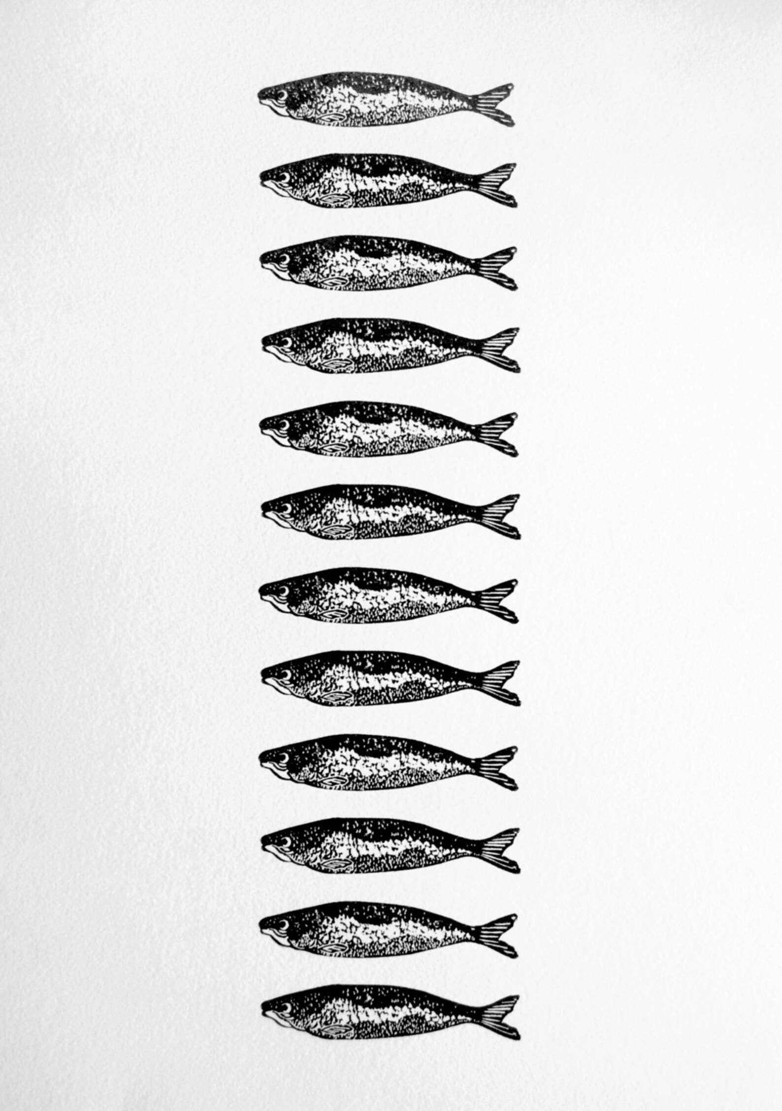 Twelve Sardines Art Print - Fish Screenprint, Gift for Cooks, Kitchen ...