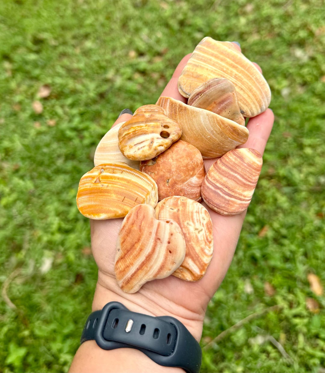 10 Tumbled Seashell Fragments, Natural Seashell Tiles. Orange Color ...