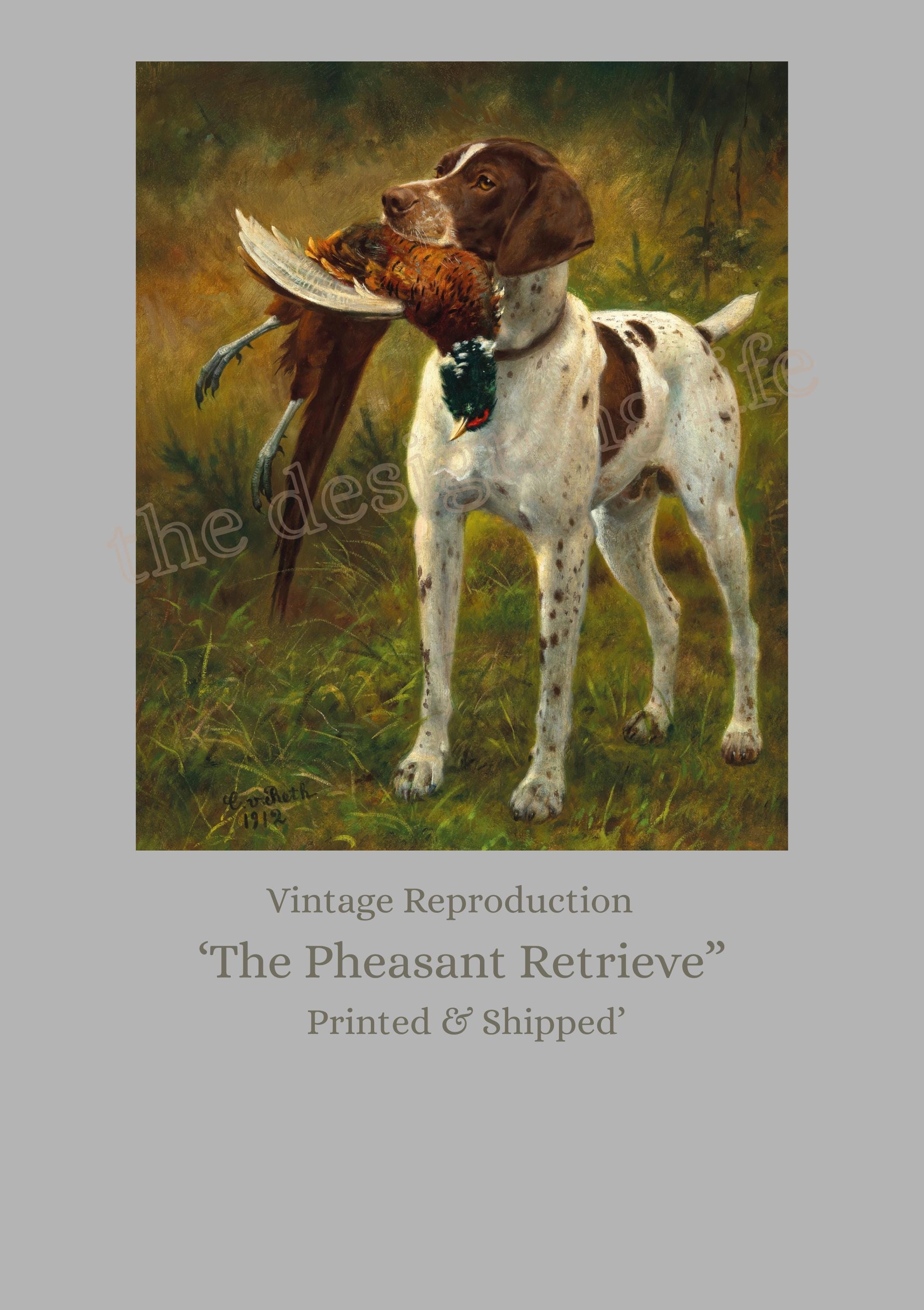 Hunting Dog With Pheasant Sporting Hound Wildlife Art Print Rustic ...