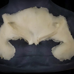 Reptile / Dino Forehead Foam Latex Prosthetic - Etsy