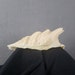 Fin Prosthetics for Sea Creatures and Mermaids - Etsy