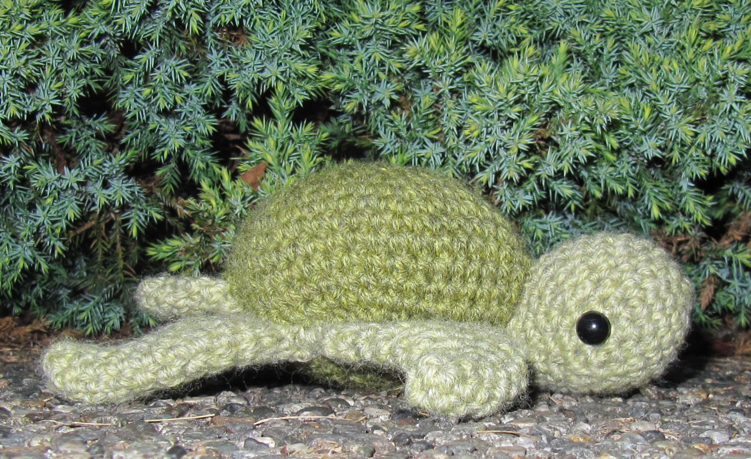 Cute Turtle Amigurumi Pattern - Etsy