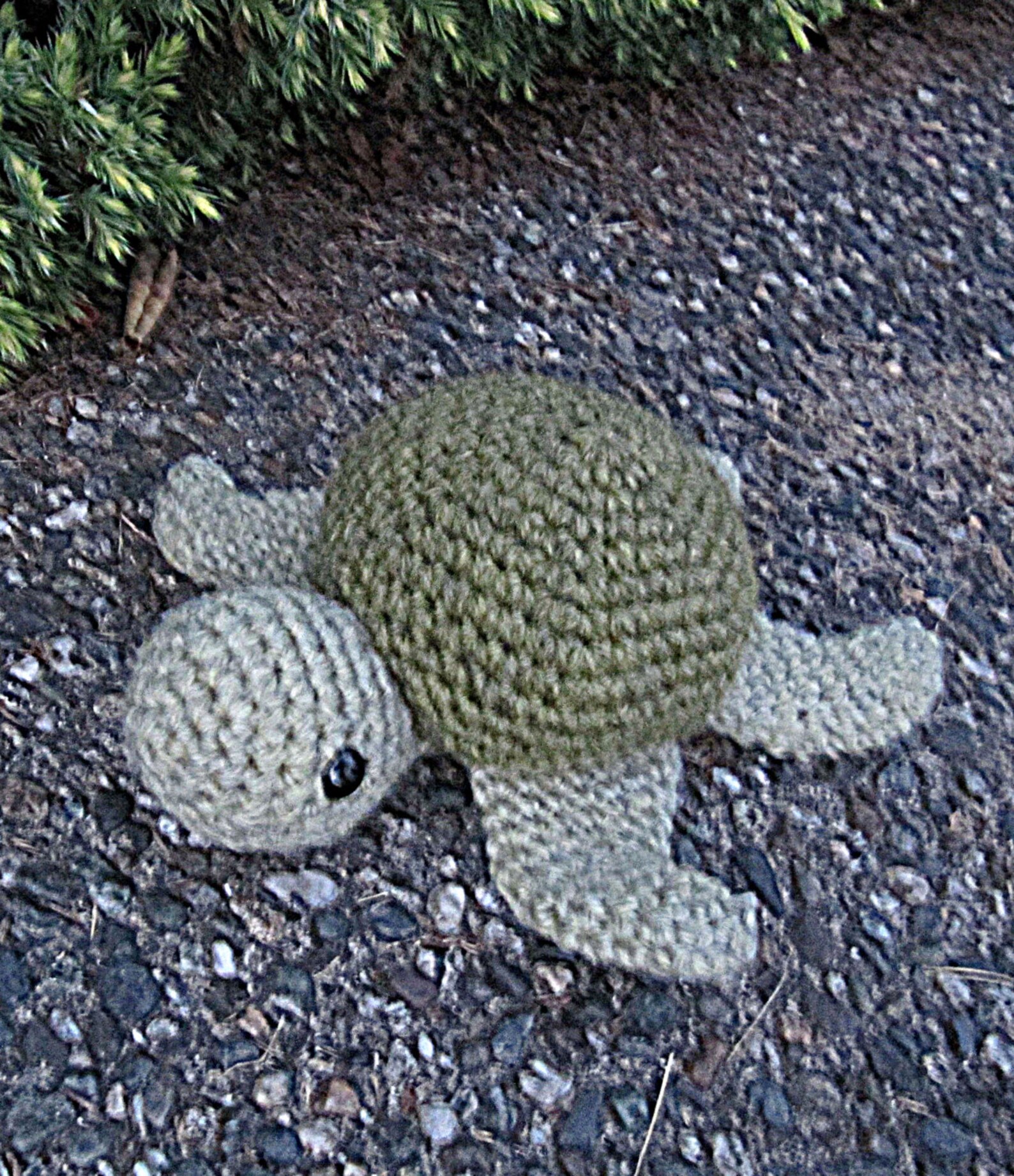 Cute Turtle Amigurumi Pattern - Etsy