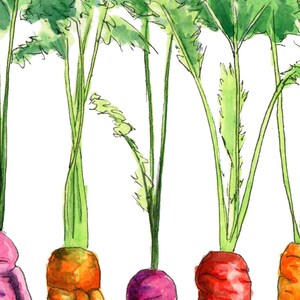 Funky Carrots Watercolor Art Print - Etsy