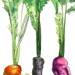 Funky Carrots Watercolor Art Print - Etsy