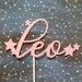 Leo Cake Topper- Zodiac Cake Topper-leo Party Decor- Birthday Cake ...