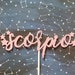 Scorpio Cake Topper Zodiac Cake Topper Scorpio Party Decor - Etsy
