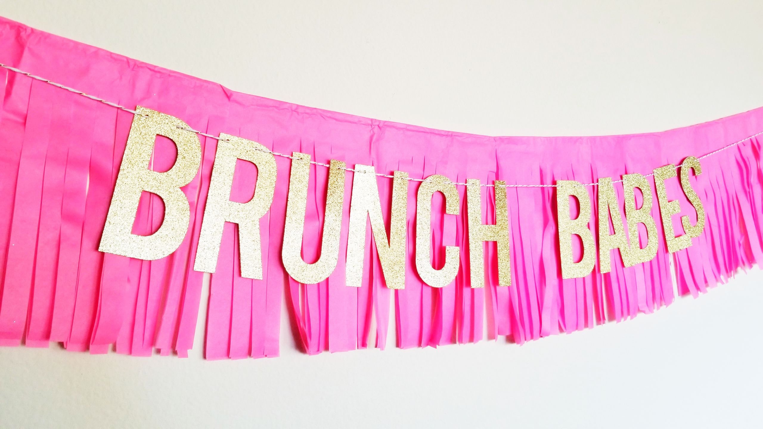 BRUNCH BABES Banner -party Banner-party Decor-brunch-bridal Brunch ...