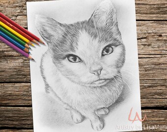 Cats in Disguise NEW Coloring Book by Hannah Complin 20 Pg - Etsy