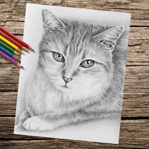 Colouring Pages Printable Coloring Page Adult Coloring Page - Etsy