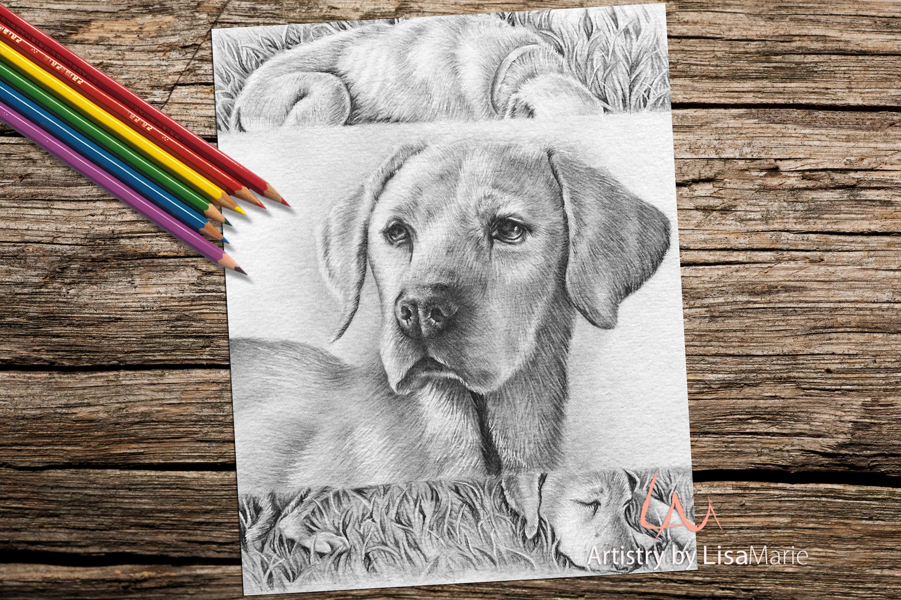 Animal Coloring Book Pages Stress Relief and Rainy Day Fun - Etsy