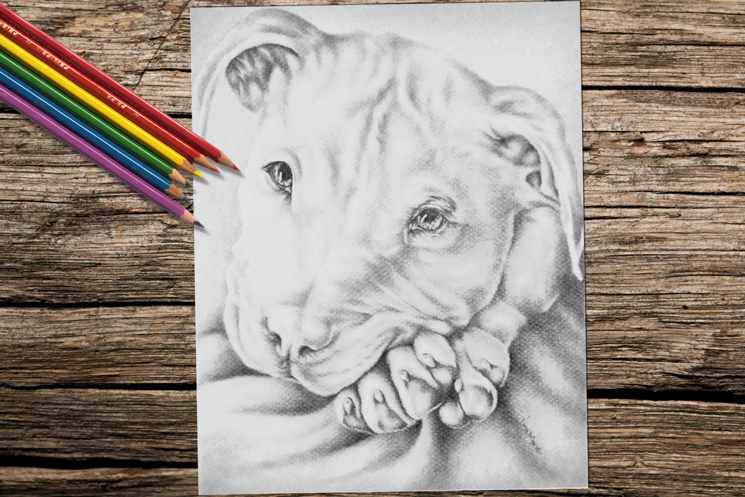 Animal Coloring Book Pages Stress Relief and Rainy Day Fun - Etsy