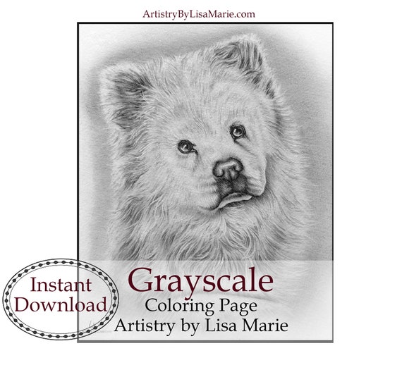 Top Model Doggy Coloring Pages