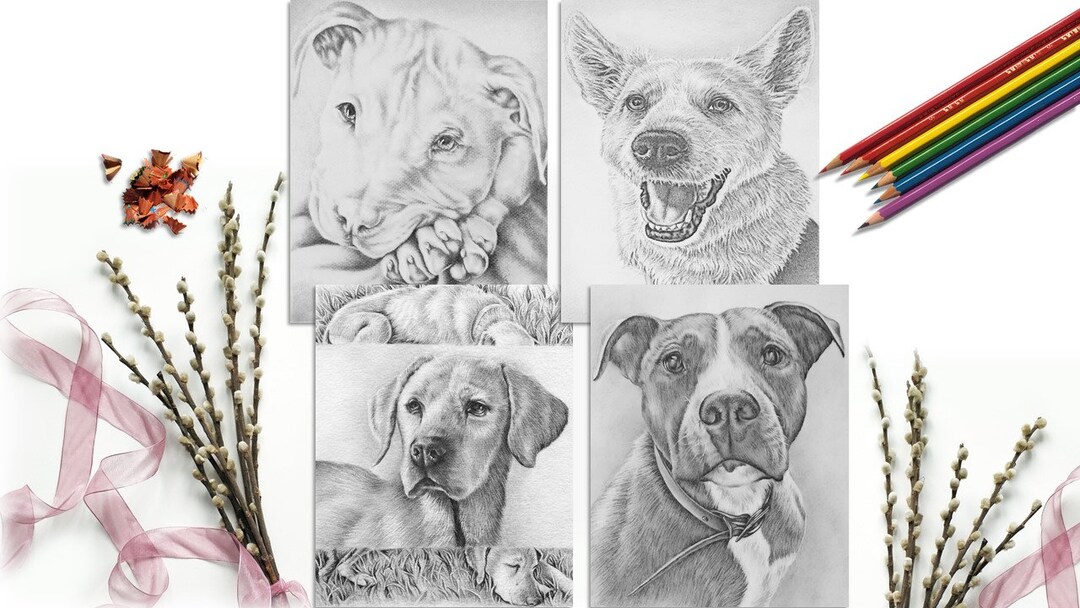 Animal Coloring Book Pages Stress Relief and Rainy Day Fun - Etsy