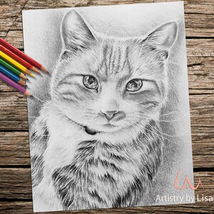 Kitten Cat Coloring Book Page, Adult Coloring Book, Coloring Page ...
