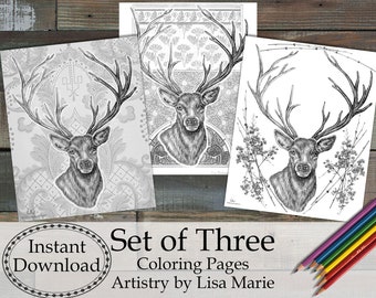 Stag Deer Coloring - Etsy