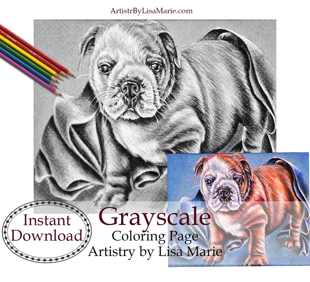 Indoor Home Activities Bulldog Printable Coloring Book - Etsy