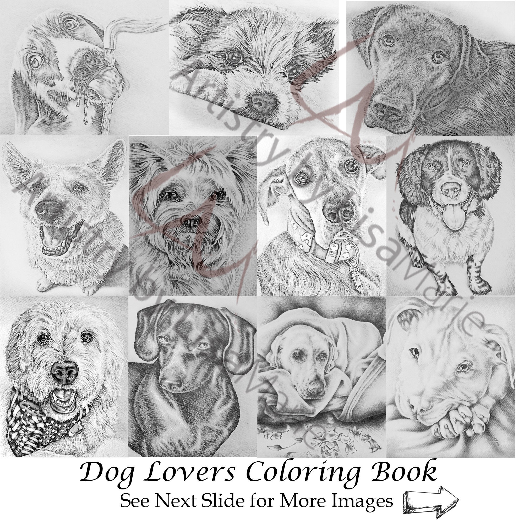 Dog Coloring Book PDF Adult Coloring Book Printable | Etsy